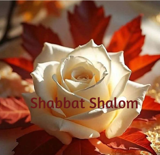 Shabbat Shalom du 24 octobre 2025 - QuebecNouvelles.com votre réseau de ...